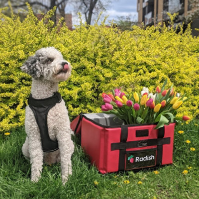 Radish Cooperative reduces food waste, improves service for customers and business for ...